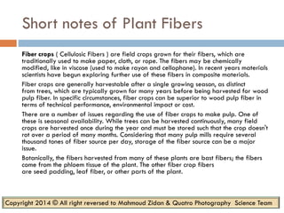 Natural Types of Fabric | PPTX