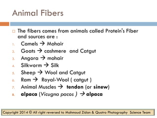Natural Types of Fabric | PPTX