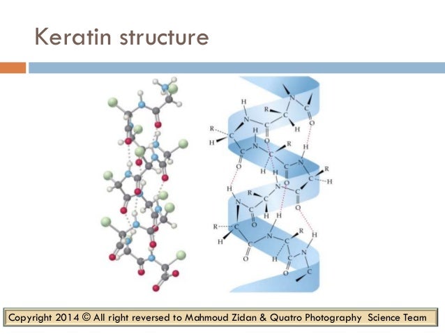 Natural Types of Fabric