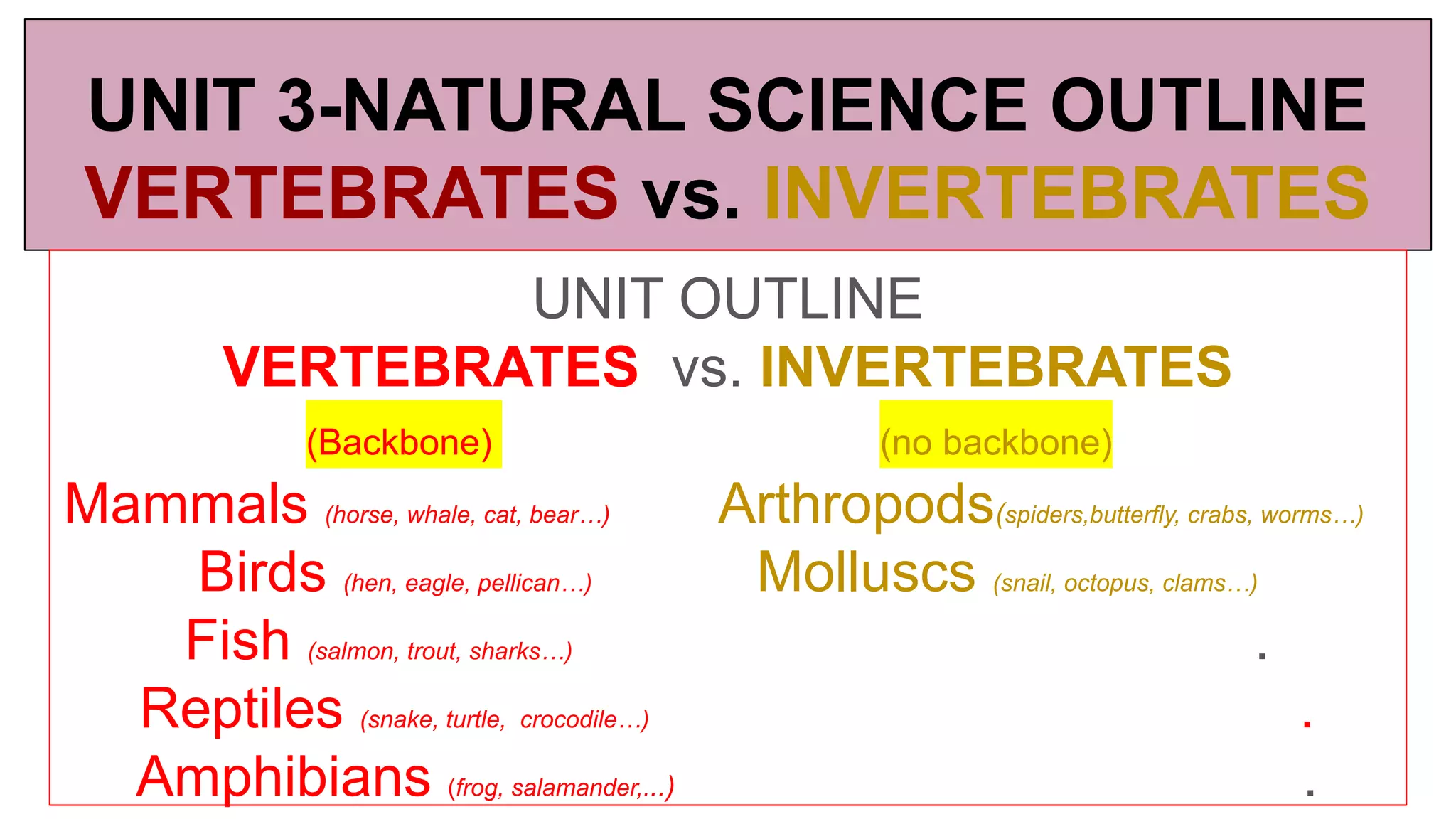 VERTEBRATES vs. INVERTEBRATES | PPT