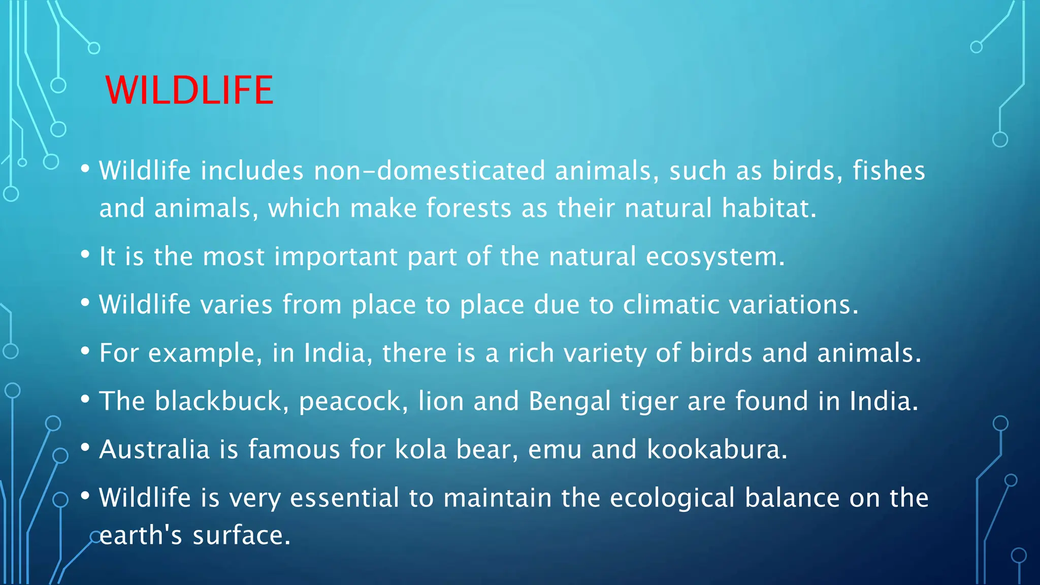 NATURAL RESOURCES: VEGETATION AND WILDLIFE | PPTX