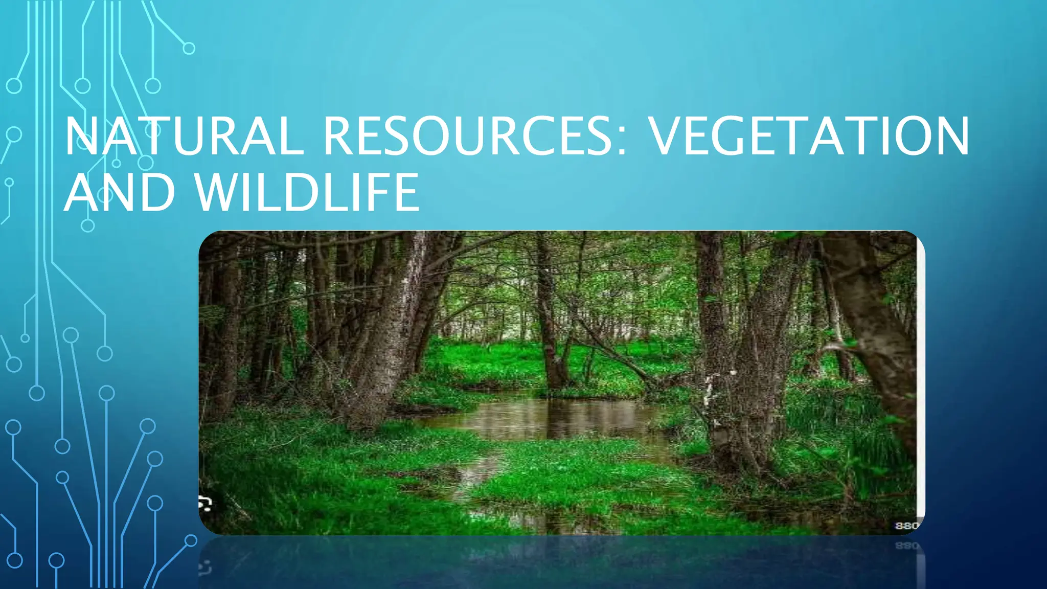 NATURAL RESOURCES: VEGETATION AND WILDLIFE | PPTX