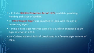 NATURAL RESOURCES: VEGETATION AND WILDLIFE | PPTX | Geography | Science