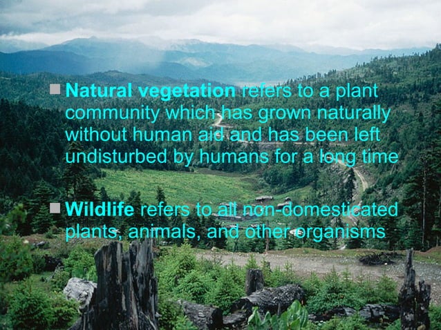 Natural vegetation. ch 5 | PPS | Weather | Science