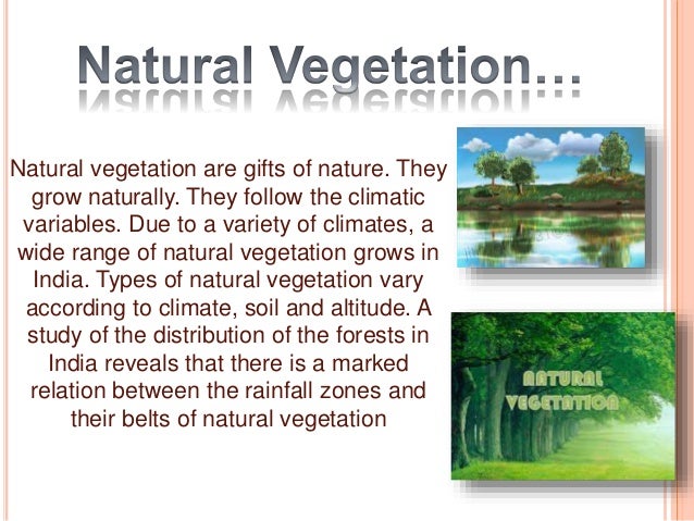 Natural vegetation