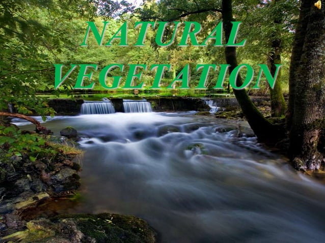 Natural vegetation | PPT