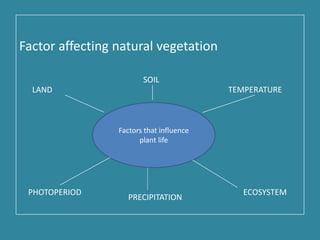 Natural vegetation | PPTX