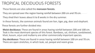 Natural vegetation | PPT