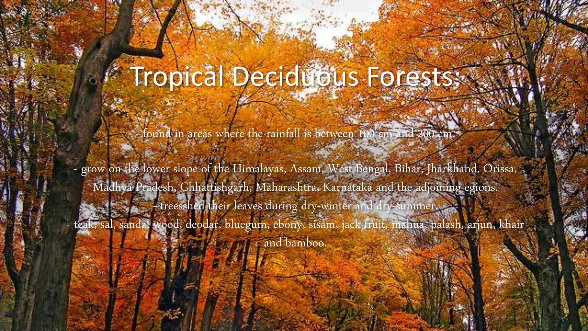 Natural vegetation | PPTX