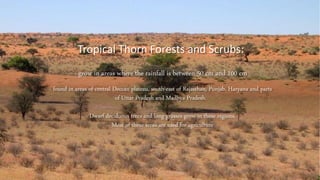 Natural vegetation | PPTX