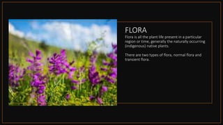 Natural vegetation | PPTX