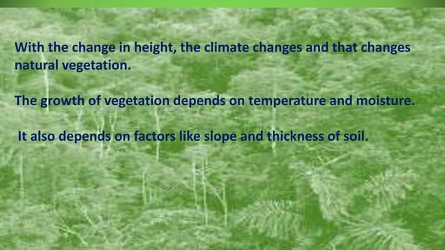 NATURAL VEGETATION.pptx