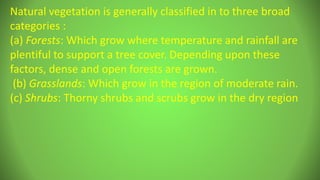 NATURAL VEGETATION.pptx