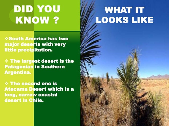 Natural vegetation of Latin America | PPT