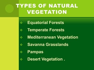 Natural vegetation of Latin America | PPTX