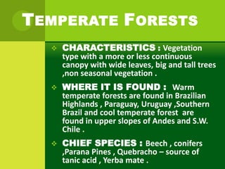 Natural vegetation of Latin America | PPTX