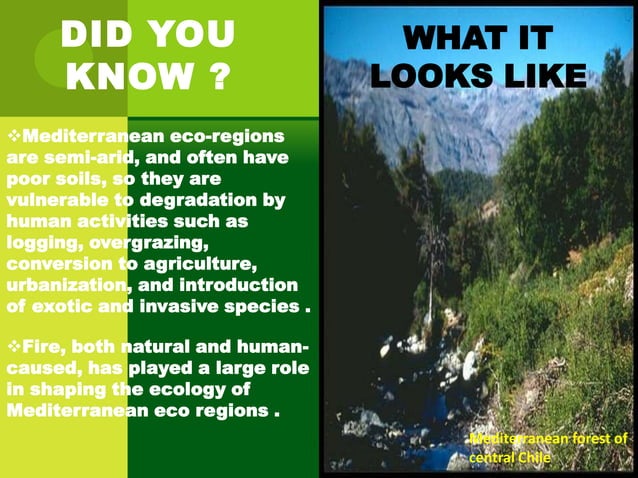 Natural vegetation of Latin America | PPT
