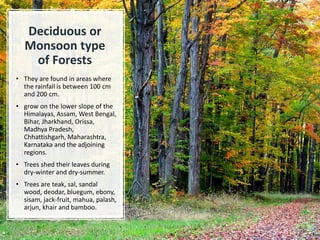 naturalvegetationanditstypesinindia-211229191930.pdf