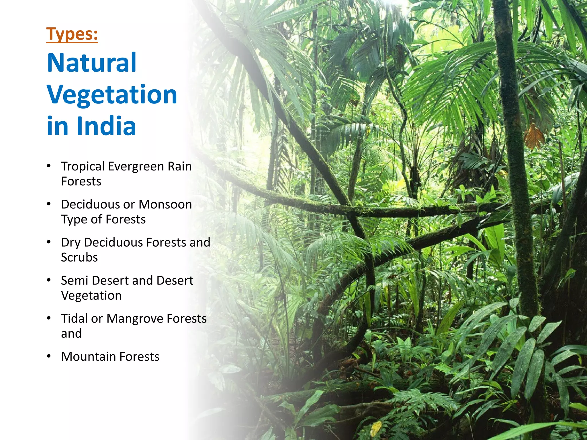 Types of Natural vegetation in India | PDF