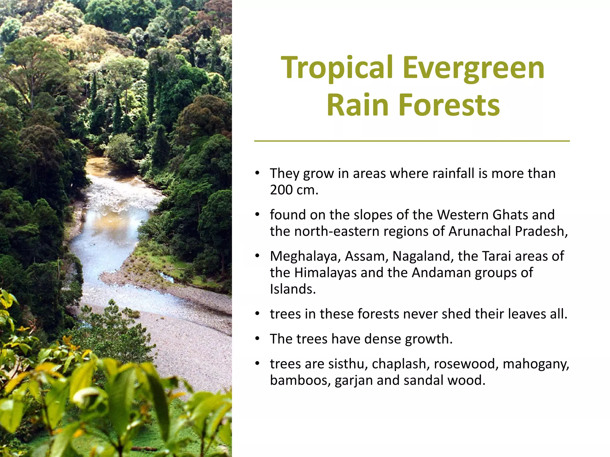Types of Natural vegetation in India | PDF