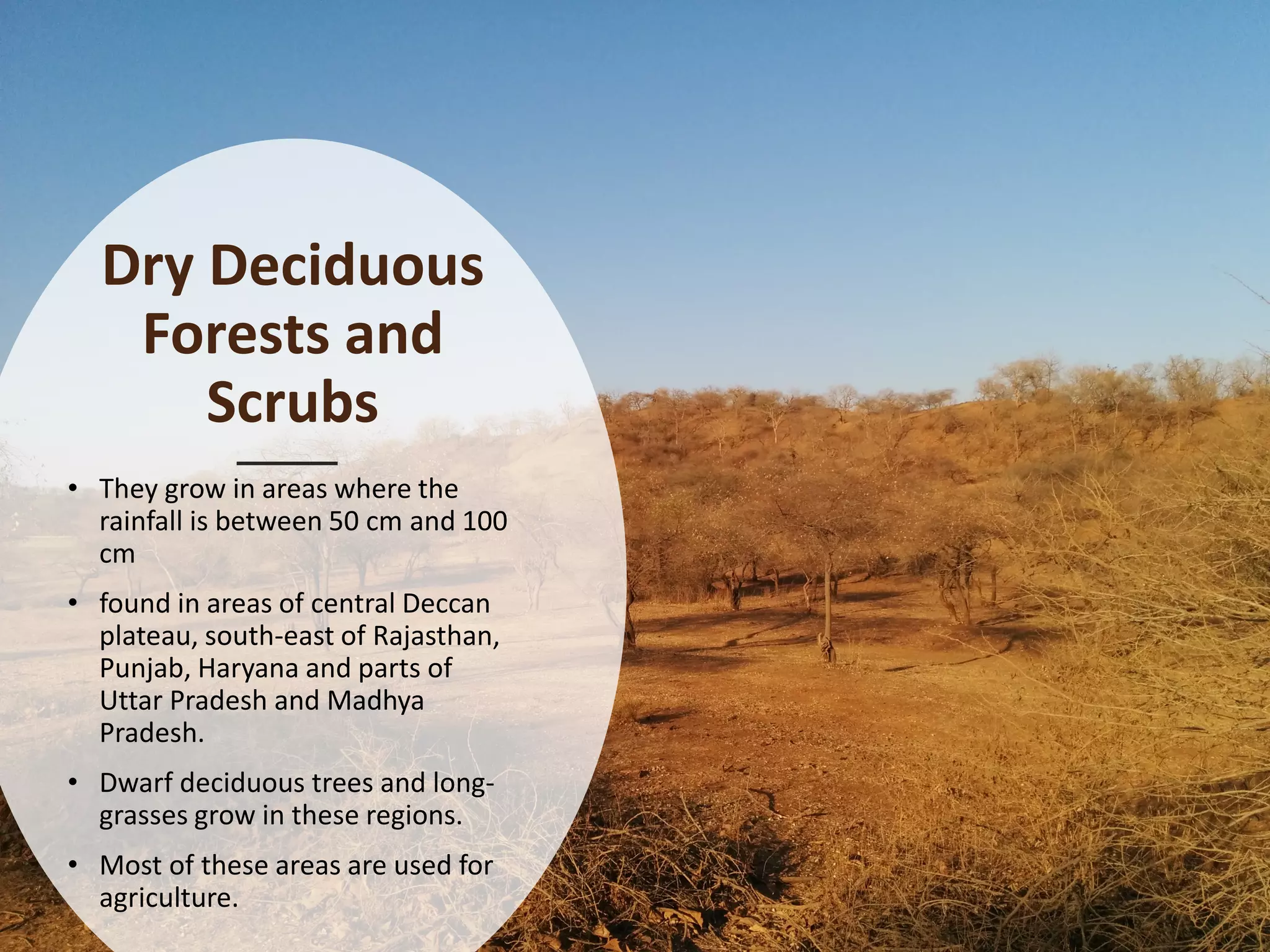 Types of Natural vegetation in India | PDF