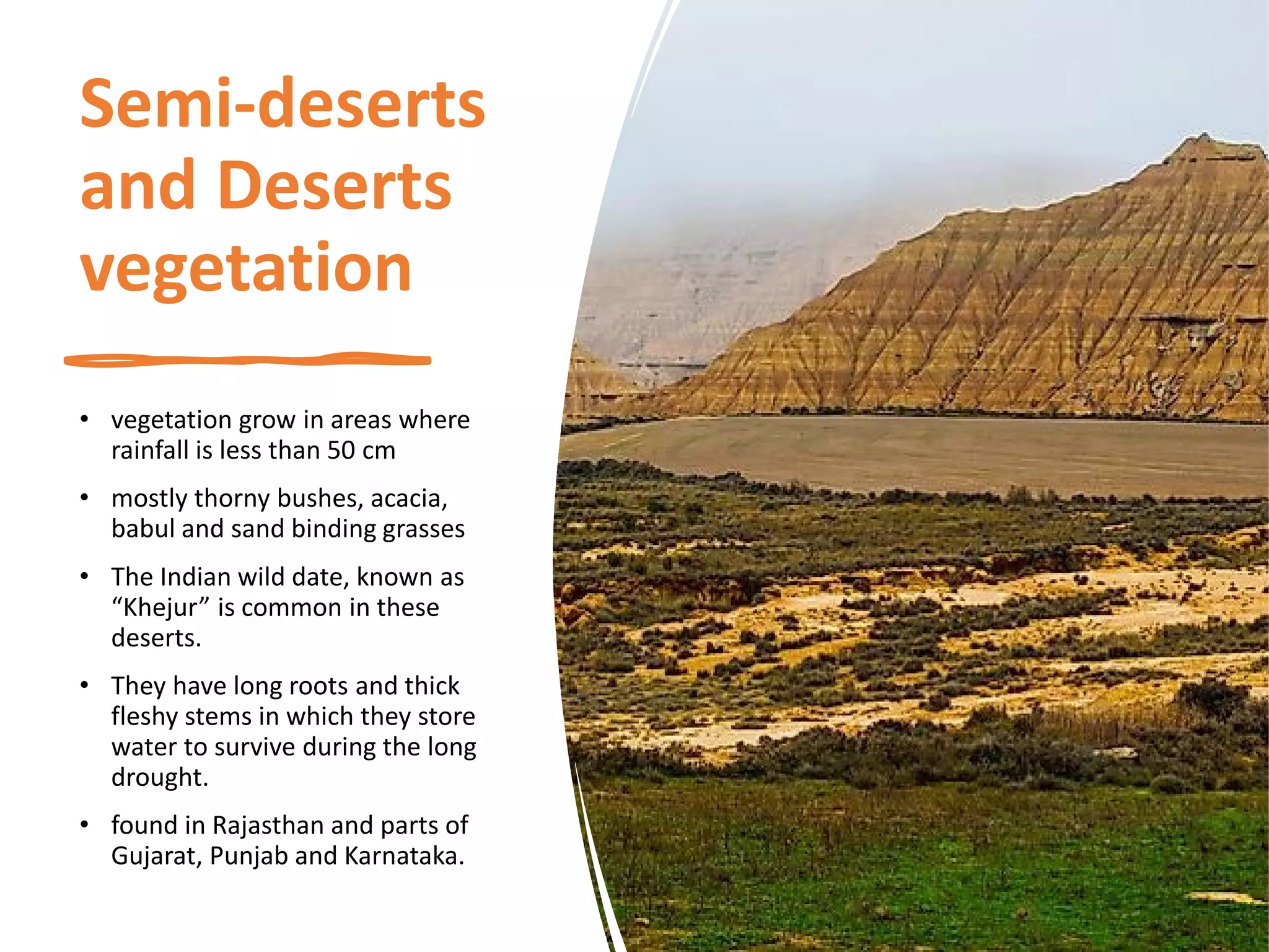 Types of Natural vegetation in India | PDF