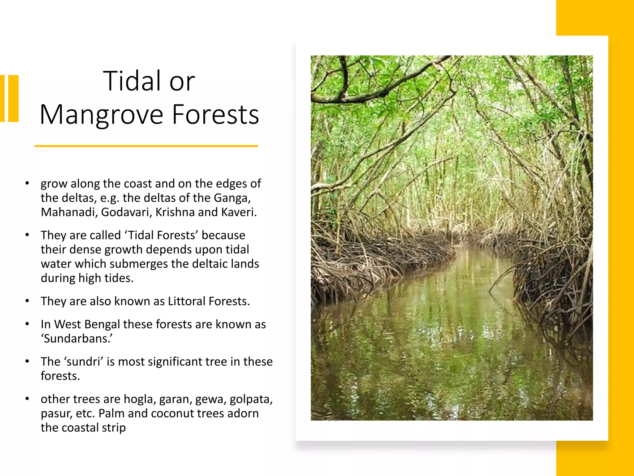 Types of Natural vegetation in India | PDF