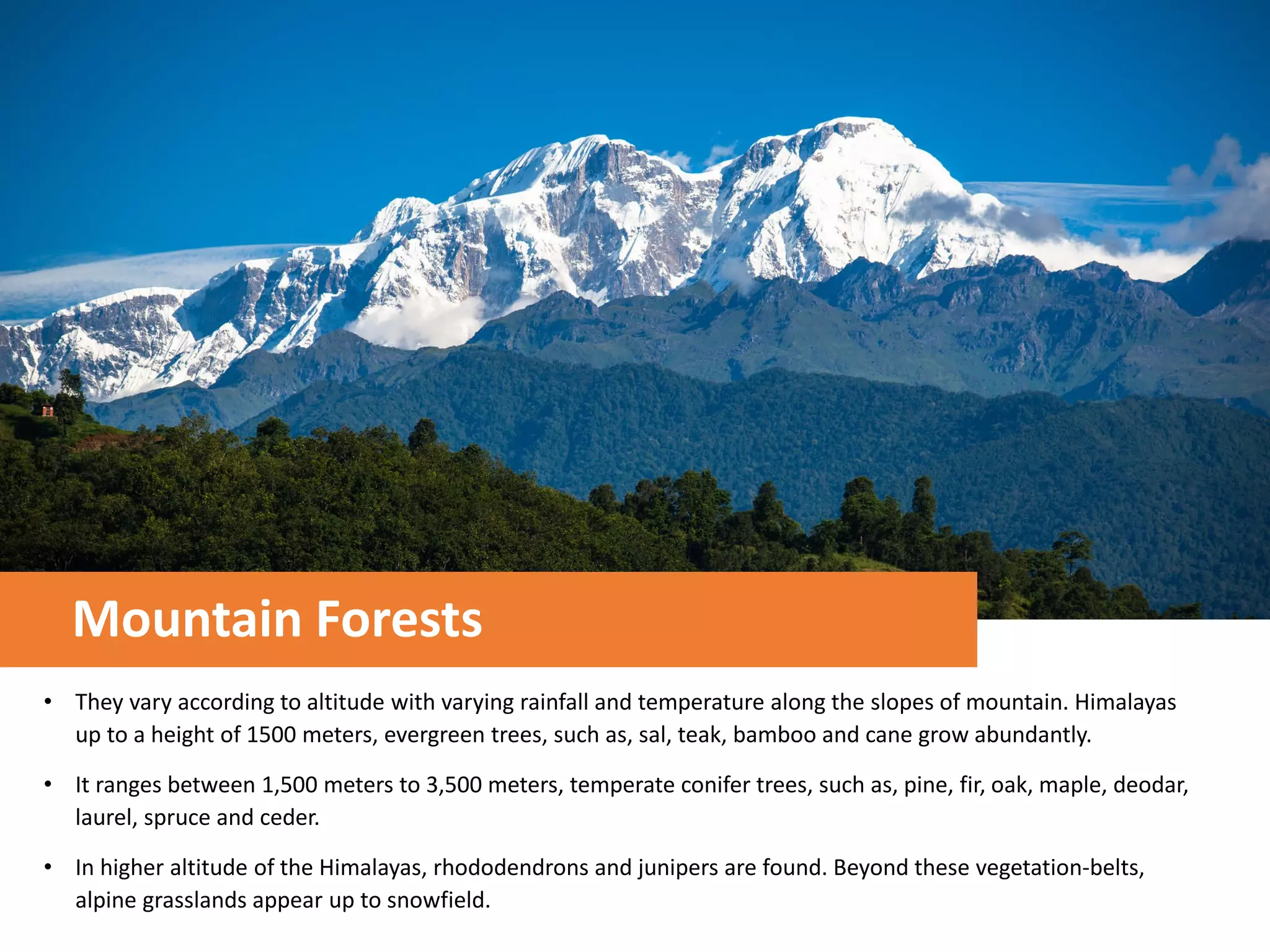 Types of Natural vegetation in India | PDF