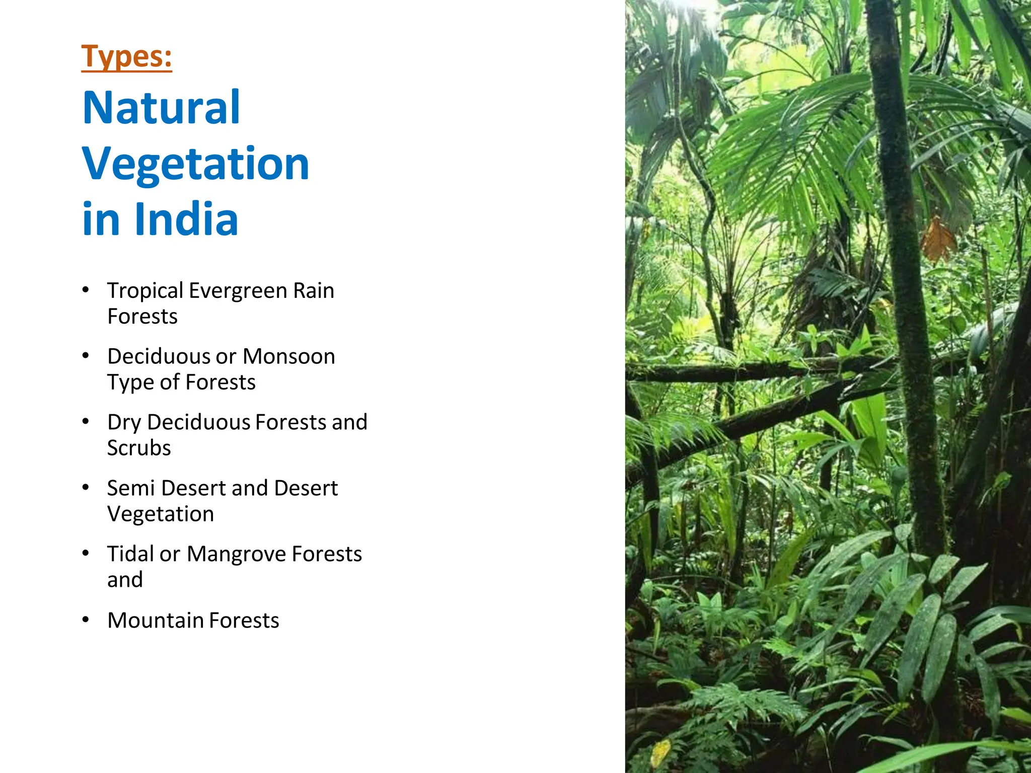 naturalvegetationanditstypesinindia-211229191930 (1).pptx