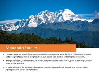 naturalvegetationanditstypesinindia-211229191930 (1).pptx | Geography | Science
