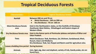 Natural Vegetation and Wildlife-1.pptx