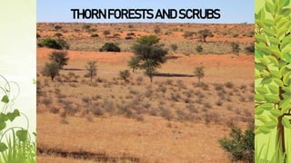 Natural Vegetation and Wildlife-1.pptx