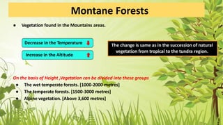 Natural Vegetation and Wildlife-1.pptx