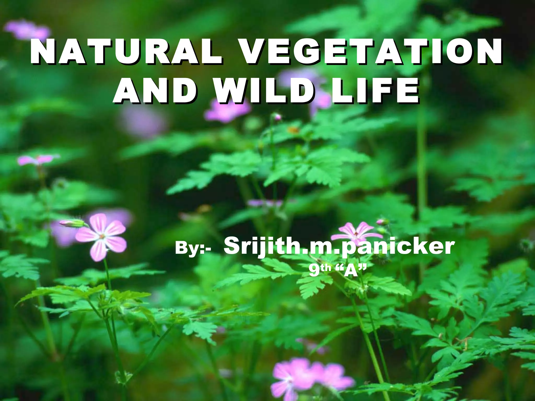 Natural vegetation and wild life | PPT