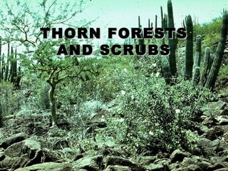 Natural vegetation and wild life | PPT