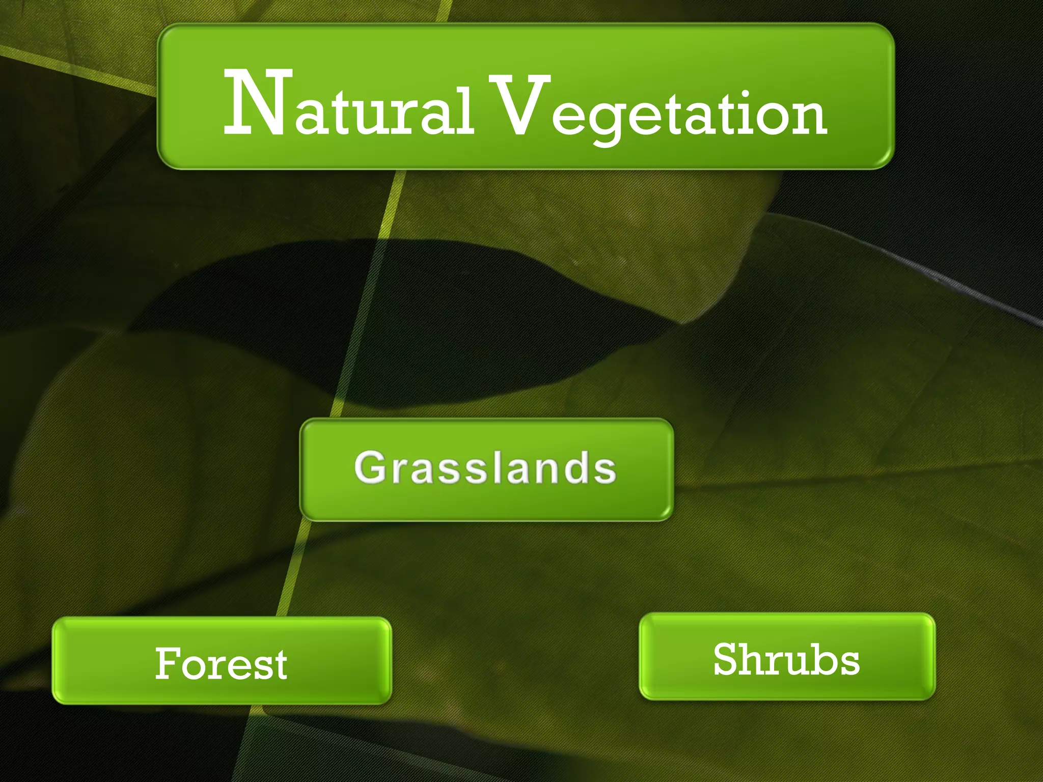 Natural vegetation and wildlife | PPT