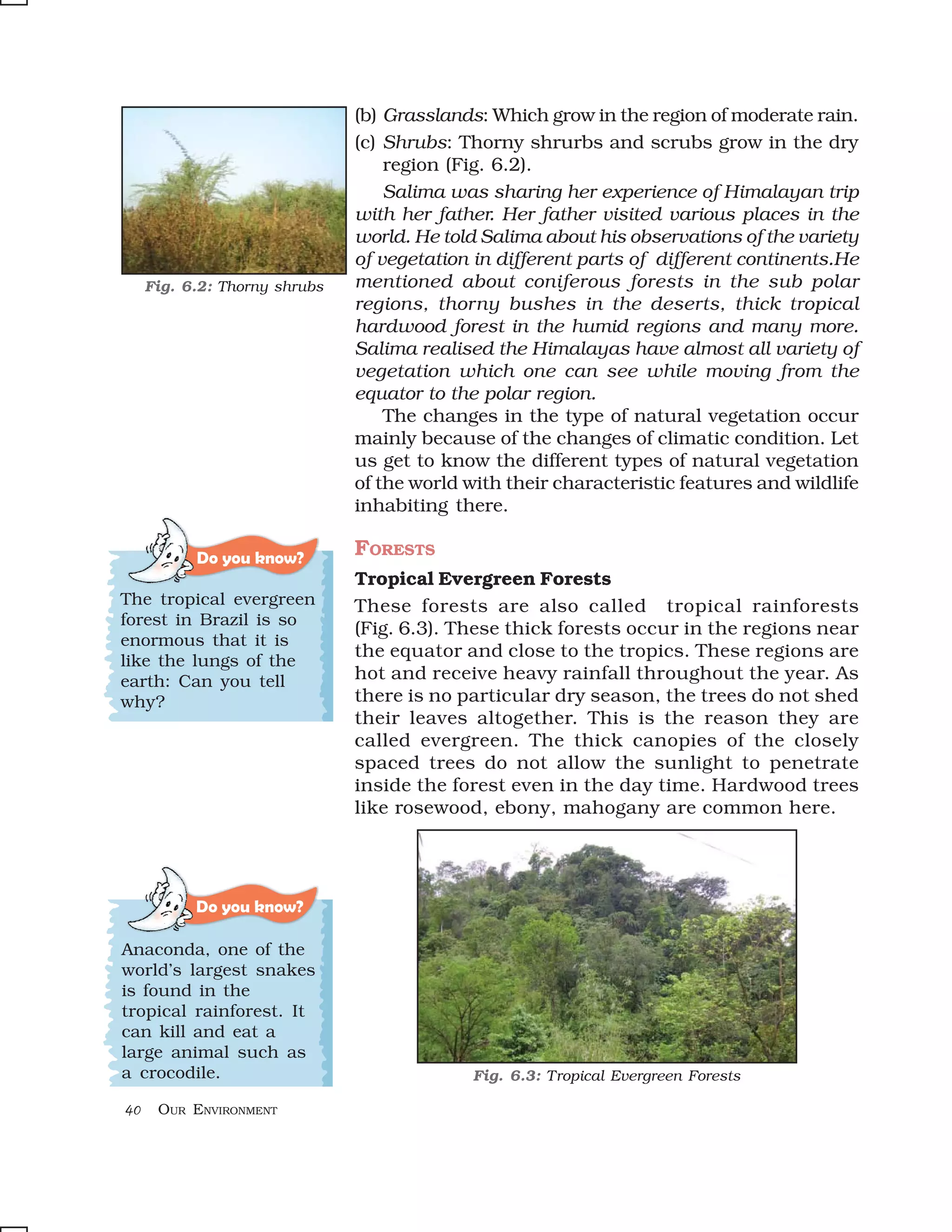 Natural vegetation and wildlife | PDF | Gardening | Home & Garden
