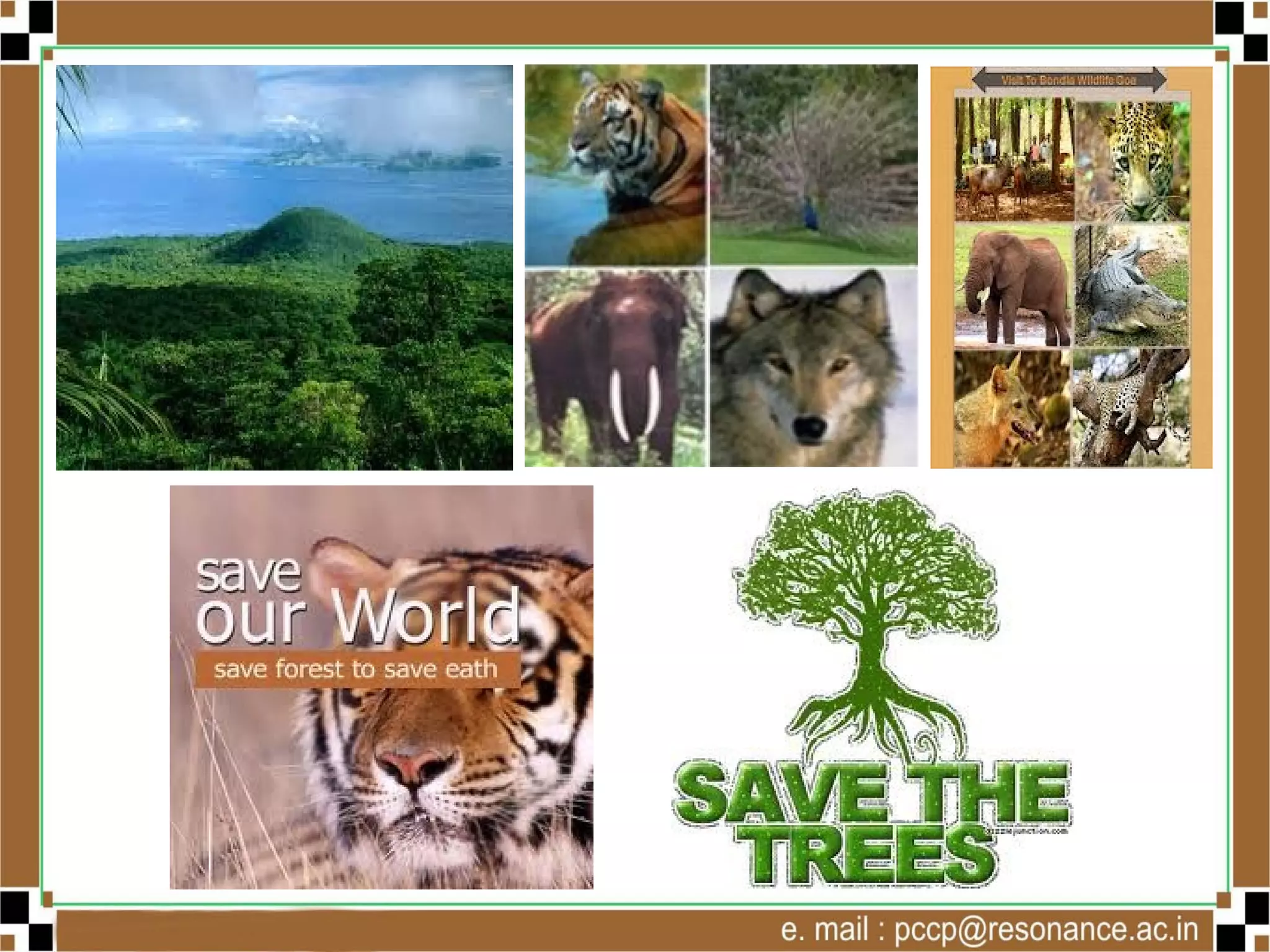 Natural vegetation and wildlife | PPSX