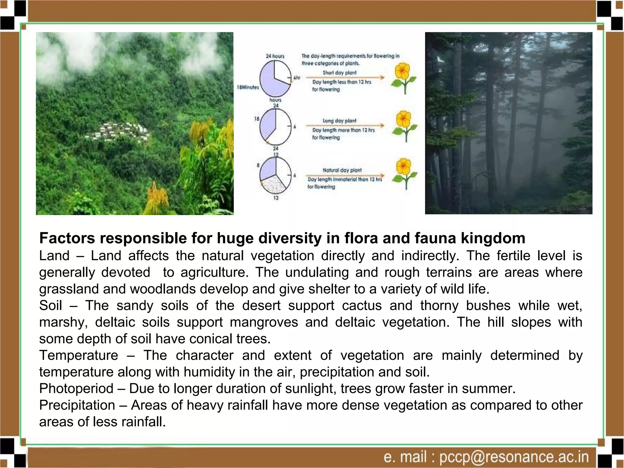 Natural vegetation and wildlife | PPSX