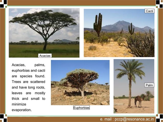Natural vegetation and wildlife | PPSX