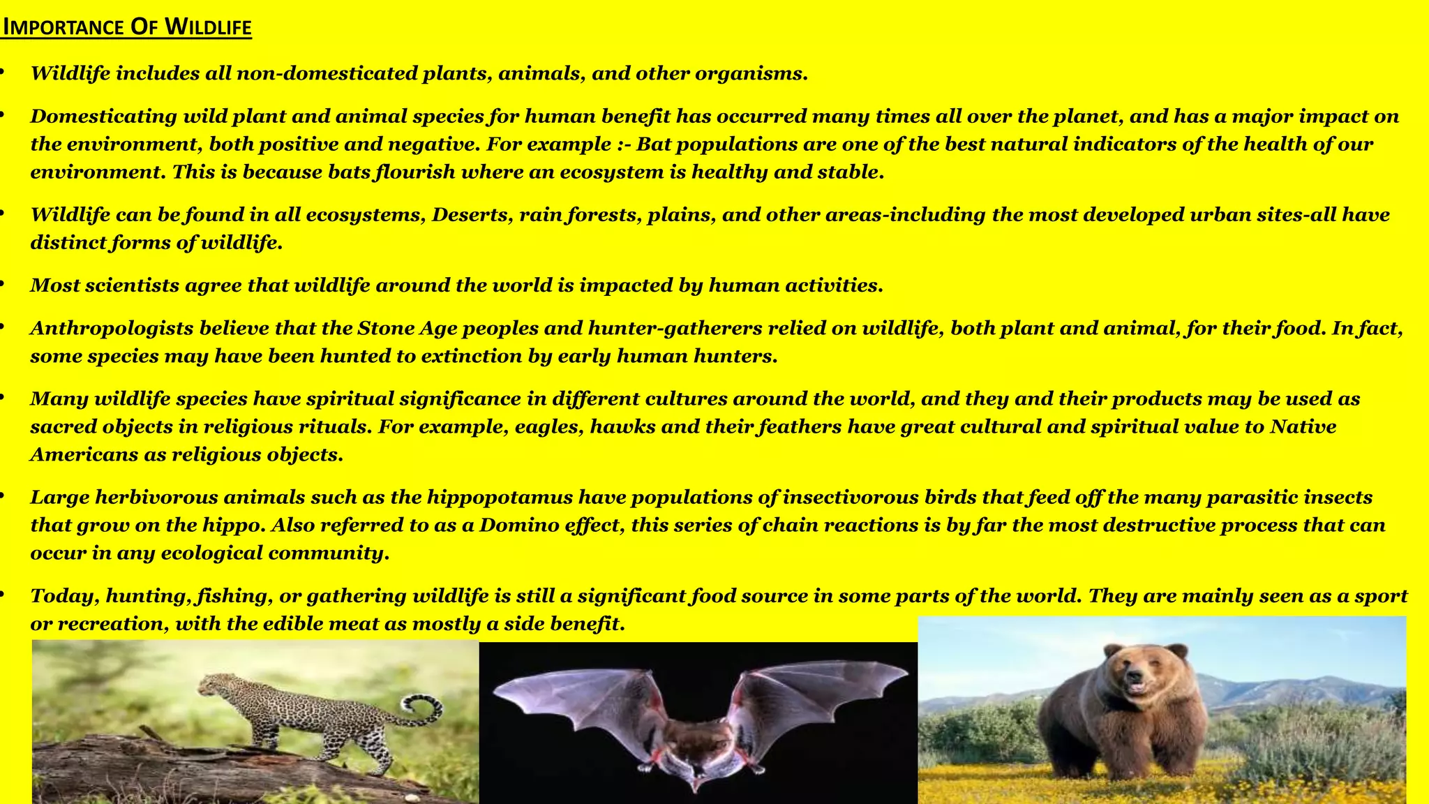 Natural vegetation and wildlife | PPTX