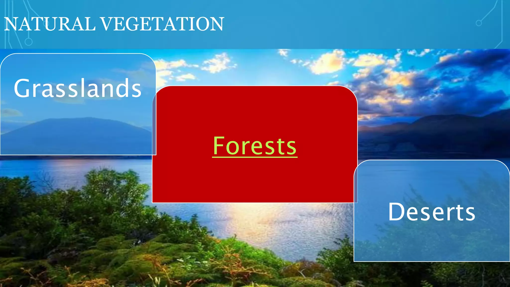 Natural vegetation and wildlife | PPT