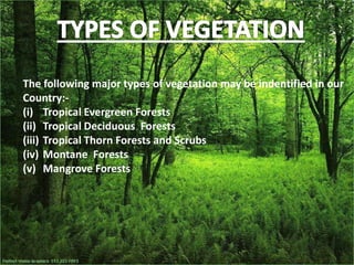 Natural vegetation and wild life | PPTX | Weather | Science