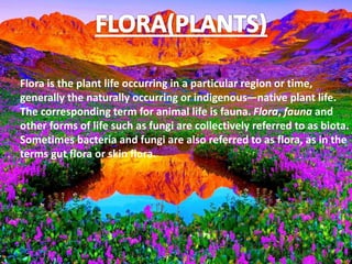 Natural vegetation and wild life | PPTX | Weather | Science