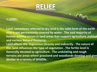 Natural vegetation and wild life | PPTX