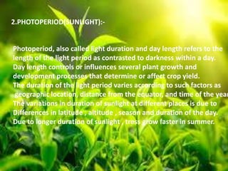 Natural vegetation and wild life | PPTX