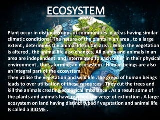Natural vegetation and wild life | PPTX | Weather | Science