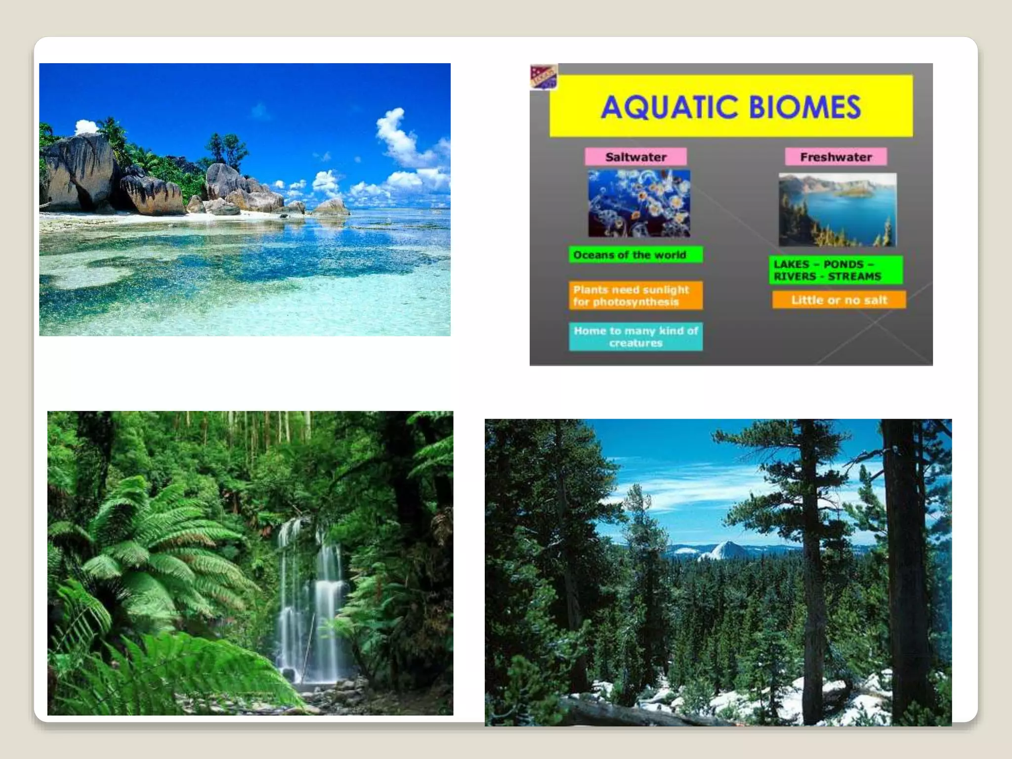 Natural vegetation and wildlife | PPT