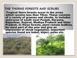 Natural vegetation and wildlife | PPTX