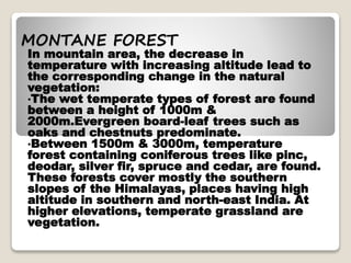 Natural vegetation and wildlife | PPTX
